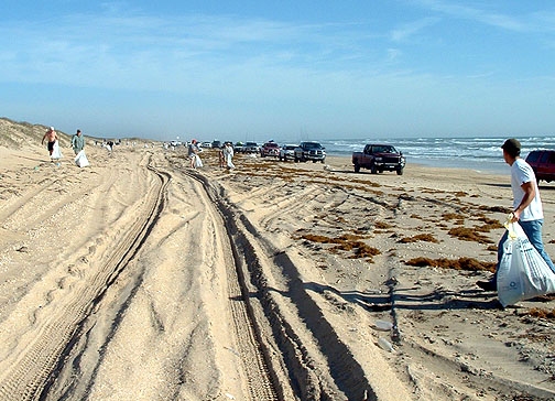 The SFCCI Billy Sandifer Big Shell Cleanup 2004 Results