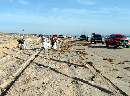 The SFCCI Billy Sandifer Big Shell Cleanup 2004 Results
