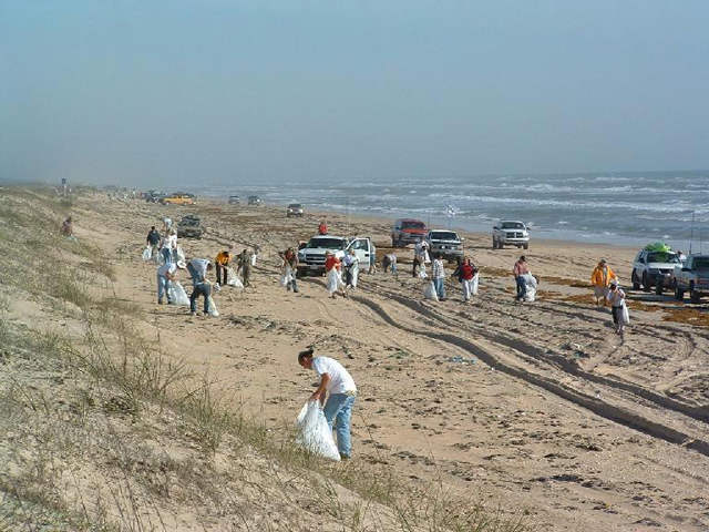 The SFCCI Billy Sandifer Big Shell Cleanup 2004 Results
