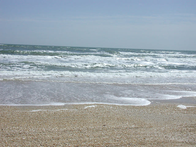 The SFCCI Billy Sandifer Big Shell Cleanup 2004 Results