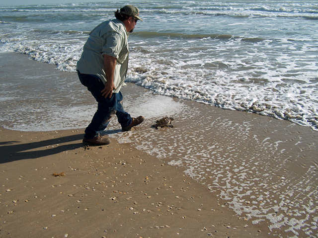 The SFCCI Billy Sandifer Big Shell Cleanup 2004 Results